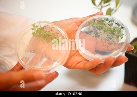 Agricultural Research organization. Volcani Center. Bet Dagan. Israel ...