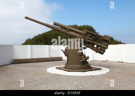World War Two anti-aircraft gun or ack-ack gun on display at a WW2 re ...