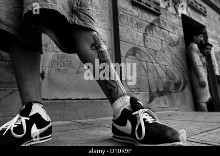 A member of the Mara Salvatrucha gang (MS-13) shows a hand sign of ...