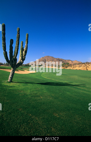 CABO REAL GOLF COURSE LOS CABOS, MEXICO Stock Photo - Alamy