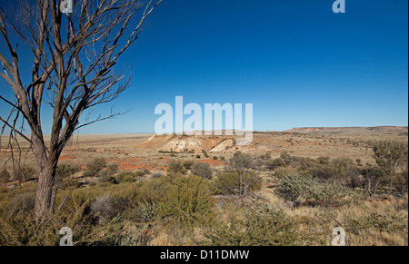 Vast arid Australian outback landscape with low drought tolerant plants ...