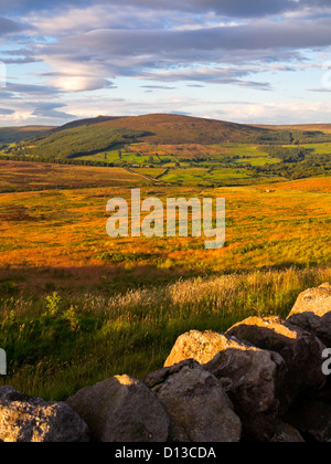 Barden Moor, Yorkshire Dales National Park Stock Photo - Alamy