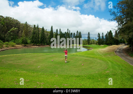 Hawaii, Lanai, Koele Golf Course, Lake And Pine Trees On The Golf ...
