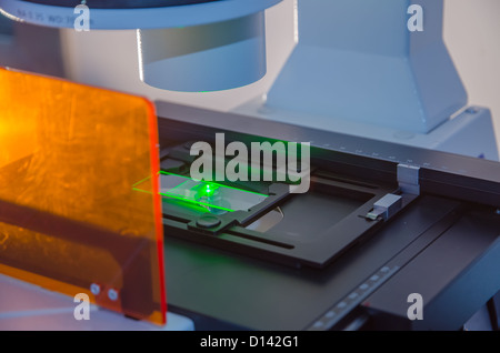 science slide under fluorescent microscope Stock Photo - Alamy