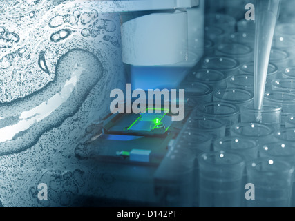 science slide under fluorescent microscope Stock Photo - Alamy