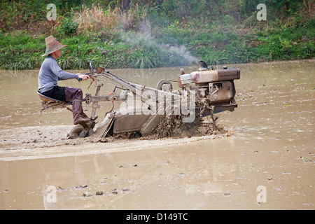 Chinese farmer working with a motorized plow in a rice field in ...