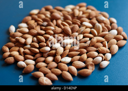 Apricot seeds (kernels) close up Stock Photo - Alamy