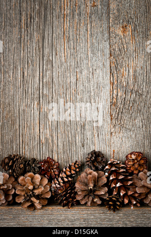 background of decorative pine cones - natural, gold and frosty white ...