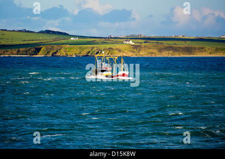 Fishing boat trawler at Holyhead Harbour Anglesey North Wales Uk. ZK15 ...