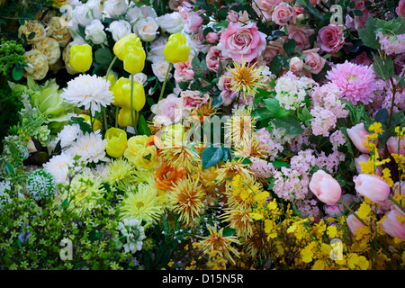 The background image of the colorful flowers Stock Photo - Alamy