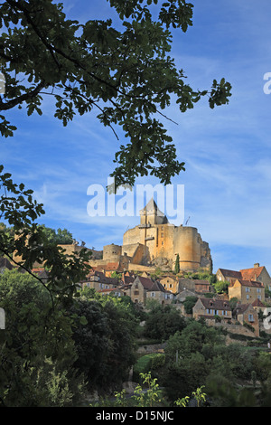 The castle of Castelnaud in Dordogne, France Stock Photo - Alamy