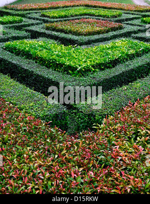 hedge hedging clip clipped shape shaped orca killer whale object garden ...