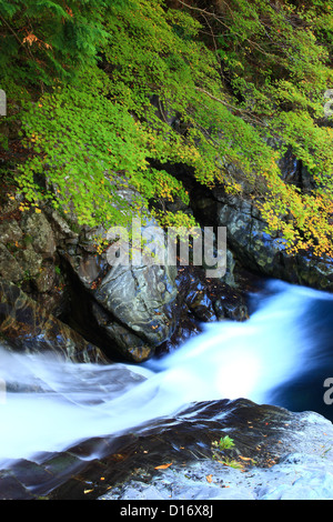 Mitarai Valley, Tenkawa, Yoshino, Nara, Japan Stock Photo - Alamy
