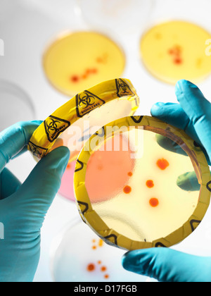 Forensic Science in Lab. Forensic Scientist examining hard drive for ...