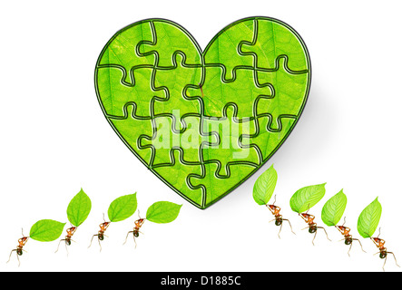 The ants who play jigsaw puzzle Stock Photo - Alamy