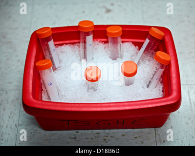 Test tubes and beakers on ice in a bin Stock Photo - Alamy