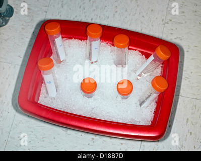 Test tubes and beakers on ice in a bin Stock Photo - Alamy