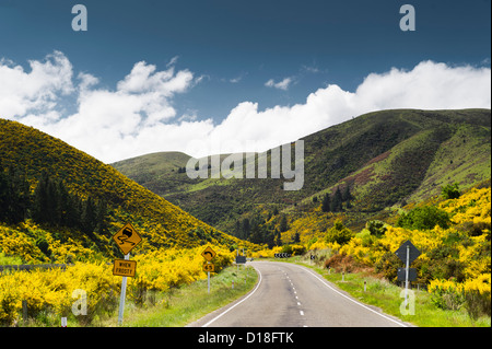 Paved road in rural landscape Stock Photo - Alamy