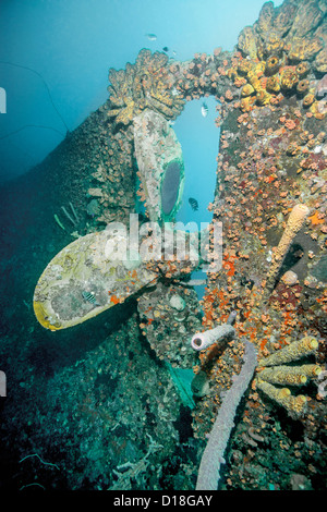 Ocean underwater with wreck of boat on sandy bottom and school of ...