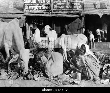 In Calcutta at the peak of India's famine in late October 1943. A dead ...