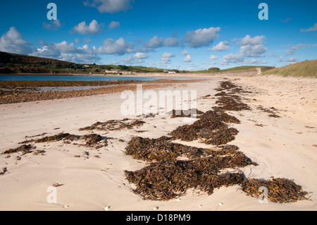 Longis Beach on Alderney, Channel Islands Stock Photo - Alamy