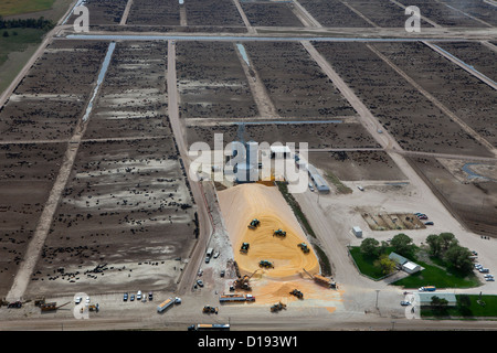 aerial photograph cattle feedlot Nebraska Stock Photo - Alamy