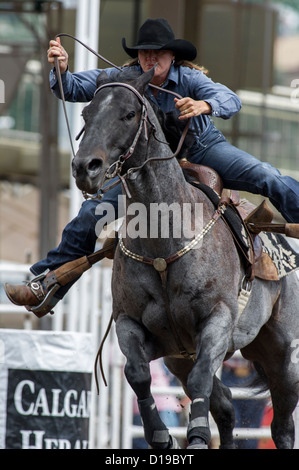 Ladies barrel racer at the Calgary Stampede Rodeo Stock Photo - Alamy