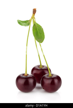 Three ripe perfect cherries isolated on a white background in close-up ...