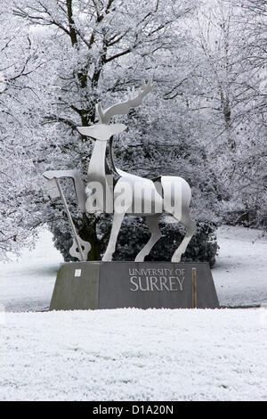 University of Surrey Sign, University of Surrey, Guildford, England, UK ...