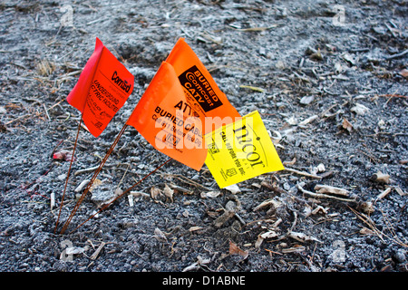 Buried cable marker flags Stock Photo - Alamy