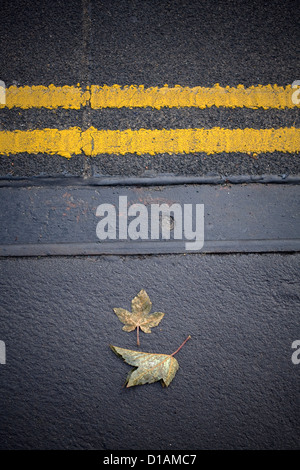 autumn leaf double yellow line abstract Stock Photo - Alamy