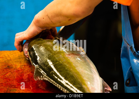 Fishmonger cutting a fish in Tsukiji Fish Market. Tokyo, Japan Stock ...