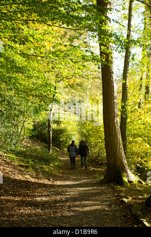 Perfect bright sunny autumn day on Lake Windermere with the trees in ...