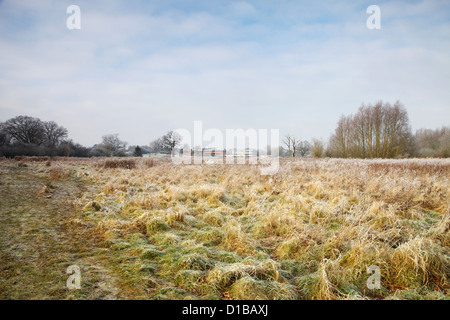 Solihull 6th Form College from the Nature Reserve behind Brueton and ...
