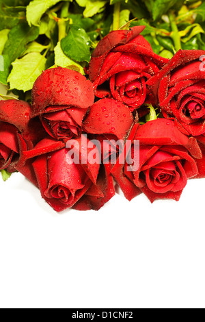 Beautiful red roses isolated on white Stock Photo - Alamy