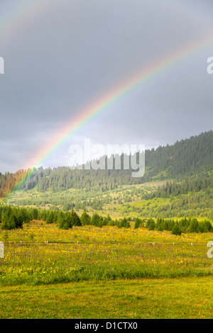 Double rainbow over a meadow after storm, summertime shot Stock Photo ...