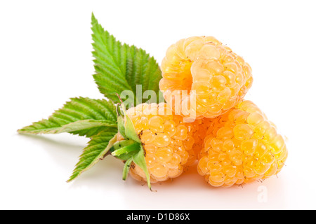 Yellow raspberries with leaf isolated on white background with copy ...