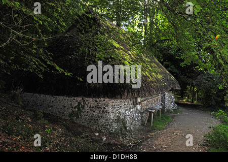 Reconstructed medieval flint cottage at Weald and Downland Open Air ...