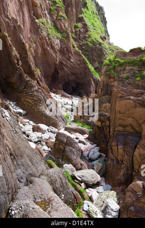 Rock formations on the beach at Ayrmer Cove, Devon, UK Stock Photo - Alamy