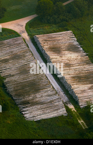 An aerial view of tree logs stacked in a forest - deforestation in ...