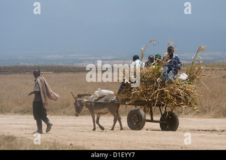 Donkey cart, Kenya, Africa Stock Photo - Alamy