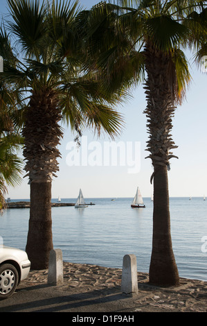Beach area at Ormideia close to the Sovereign Base Area Larnaka Cyprus ...