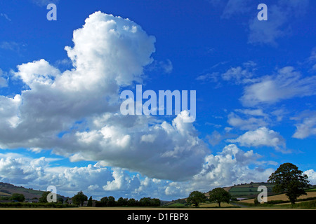 Cornfields, Exe Valley, Devon, England, United Kingdom, Europe Stock ...