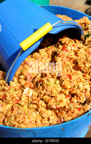 Cider making on an English farm - buckets of mashed apples go into the ...