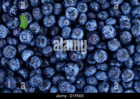 Fruit dessert on green leaf on table Stock Photo - Alamy