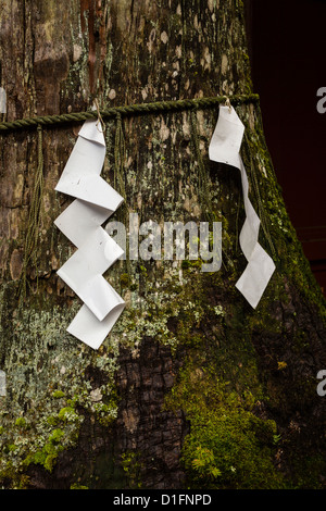 Shide are zigzag-shaped strips of white paper that in Shinto are often ...