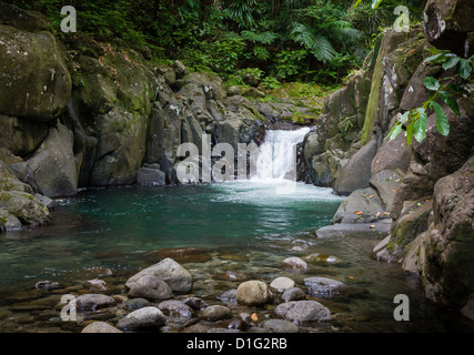 La Chaudiere Pool in northern Dominica near Morne Diablotin Stock Photo ...