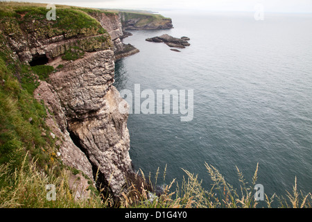 Cliffs at Fowlsheugh Nature Reserve Crawton Aberdeenshire Scotland ...