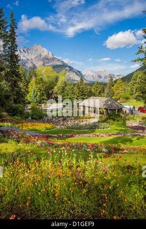 Cascade Gardens in Banff National Park in the town of Banff in the ...