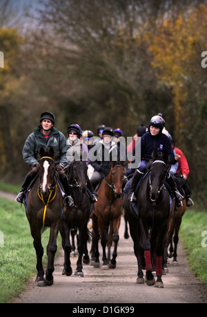 A string of horses at Paul Nicholls stables in Ditcheat, Somerset ...